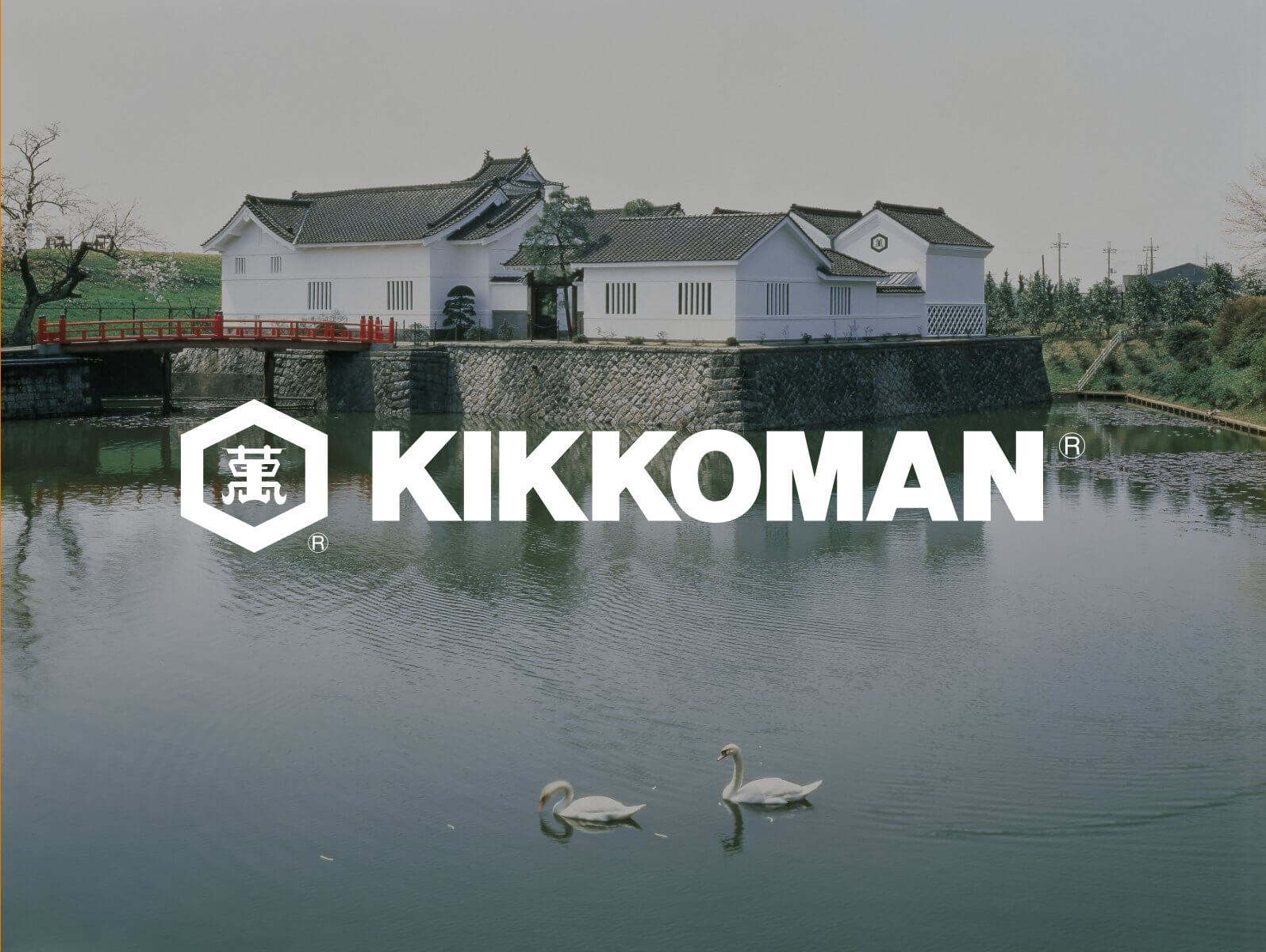 The iconic brand | Kikkoman